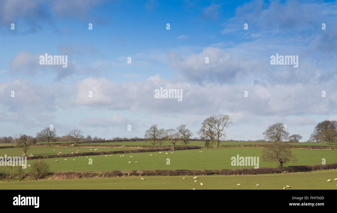 Repton derbyshire hi-res stock photography and images - Alamy