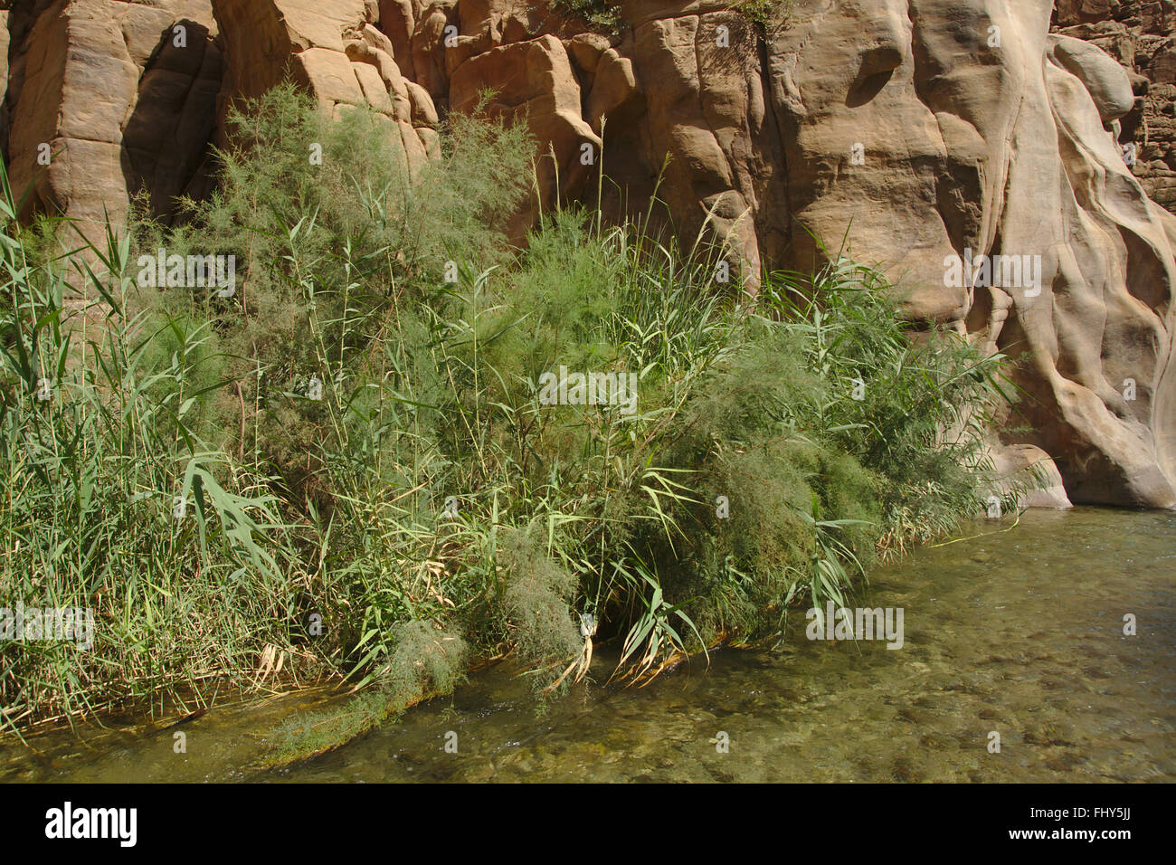 Wadi mujib geology hi-res stock photography and images - Alamy
