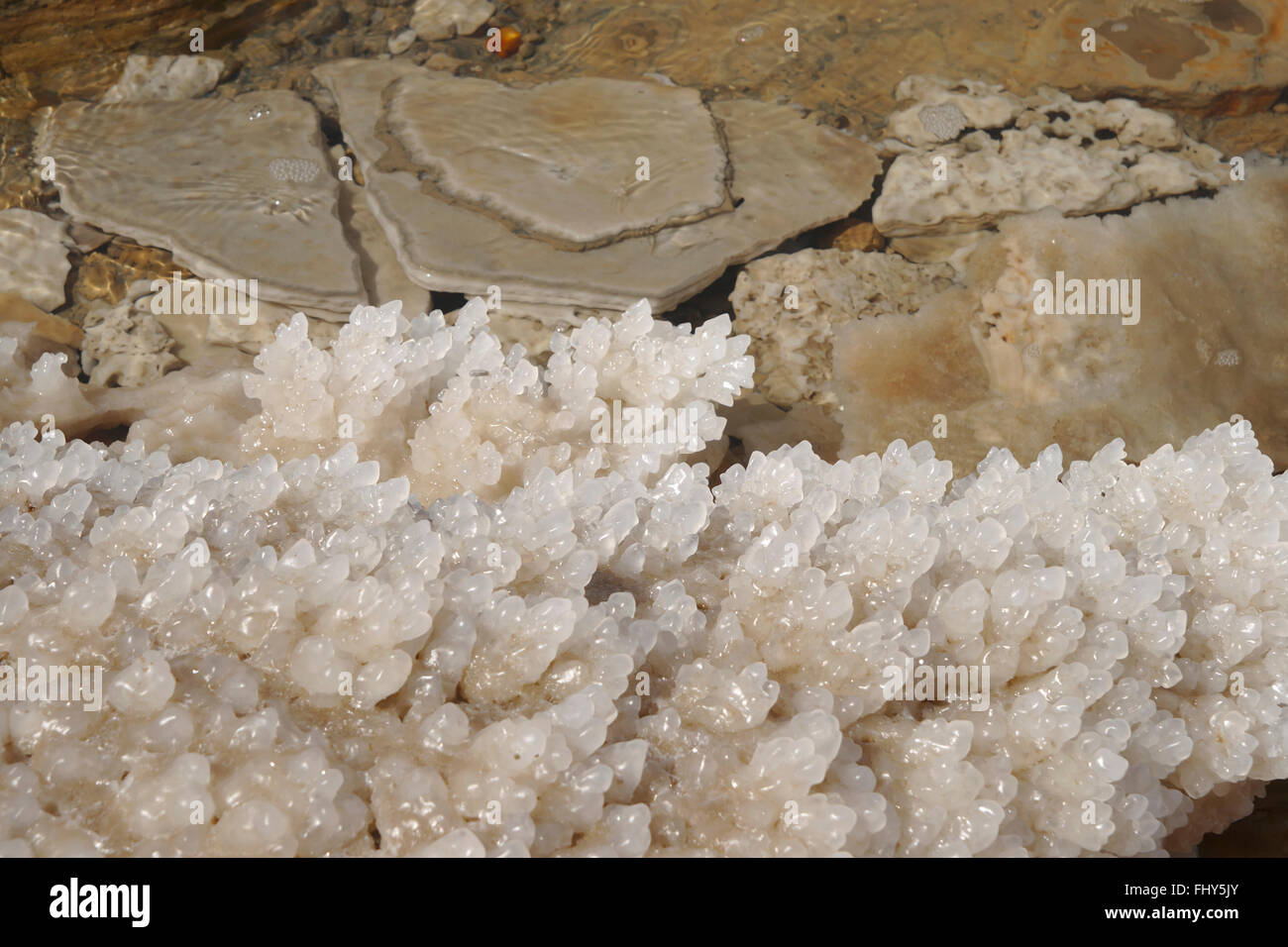 Salt deposits on the shore of the Dead Sea, Wadi Mujib Reserve, Jordan ...