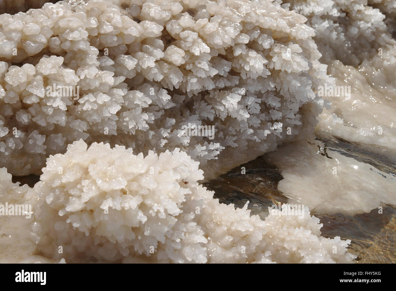 Salt deposits on the shore of the Dead Sea, Wadi Mujib Reserve, Jordan ...