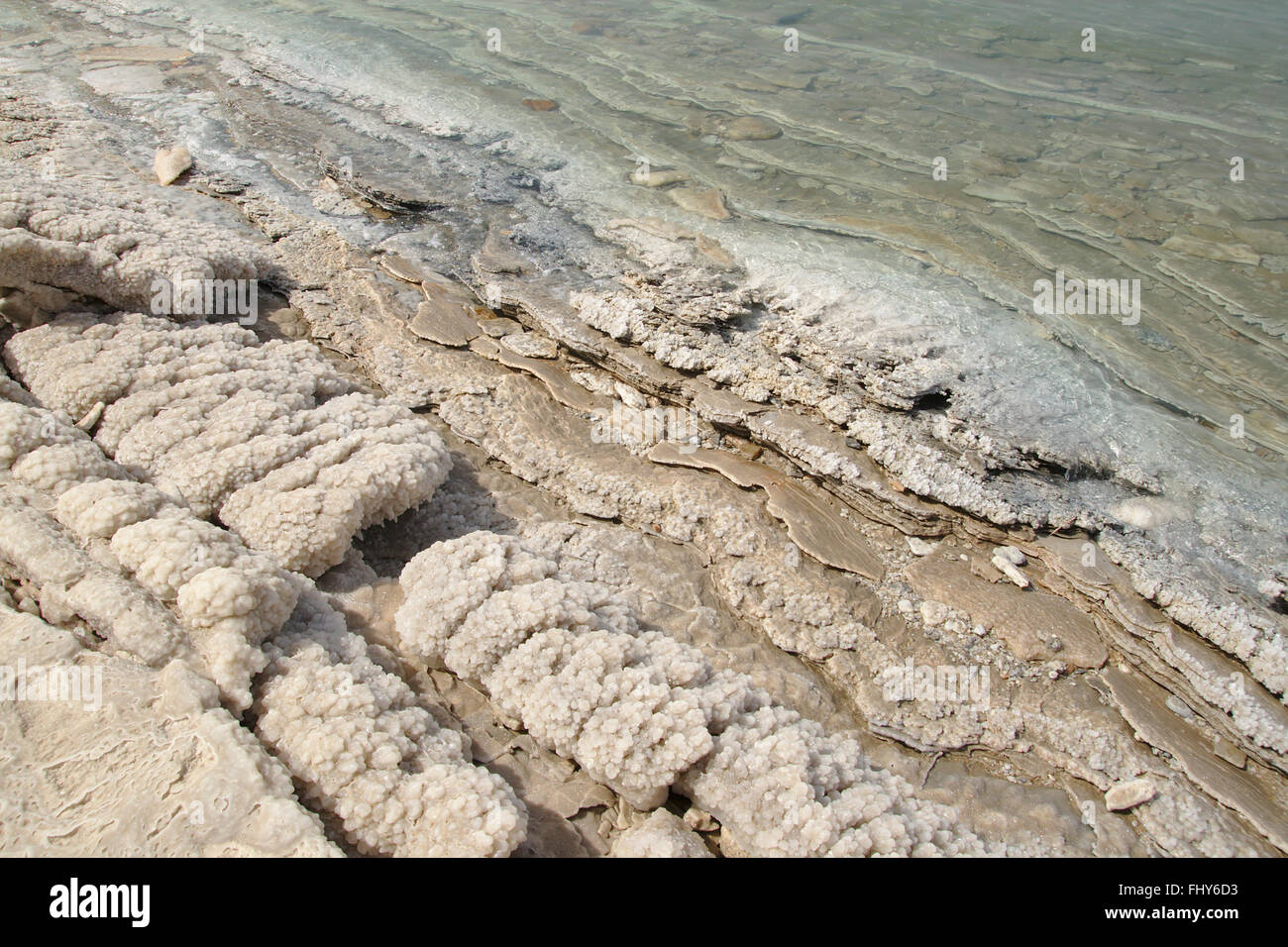 Salt deposits on the shore of the Dead Sea, Wadi Mujib Reserve, Jordan ...