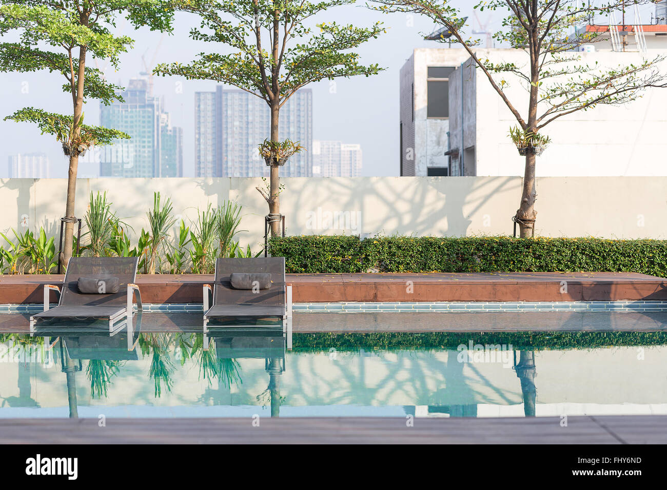 Green swimming pool with beds and tree beside Stock Photo - Alamy