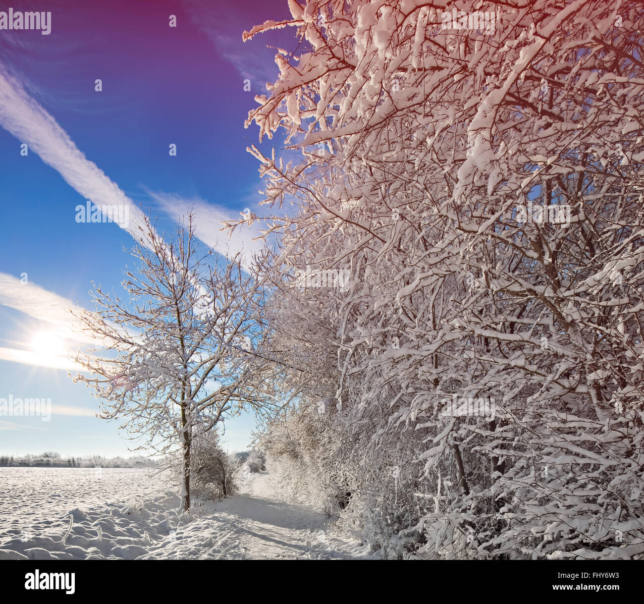 winter landscape with morning sun Stock Photo - Alamy