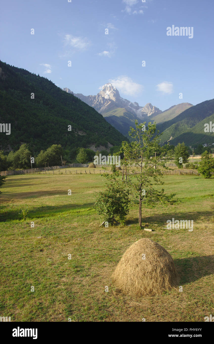 Becho georgia hi-res stock photography and images - Alamy