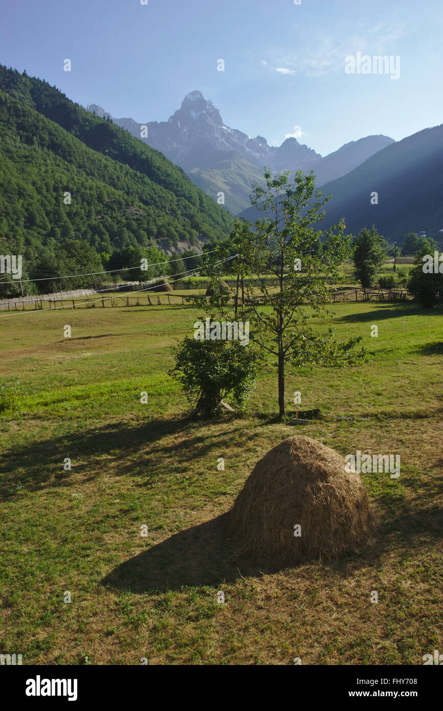 Becho georgia hi-res stock photography and images - Alamy