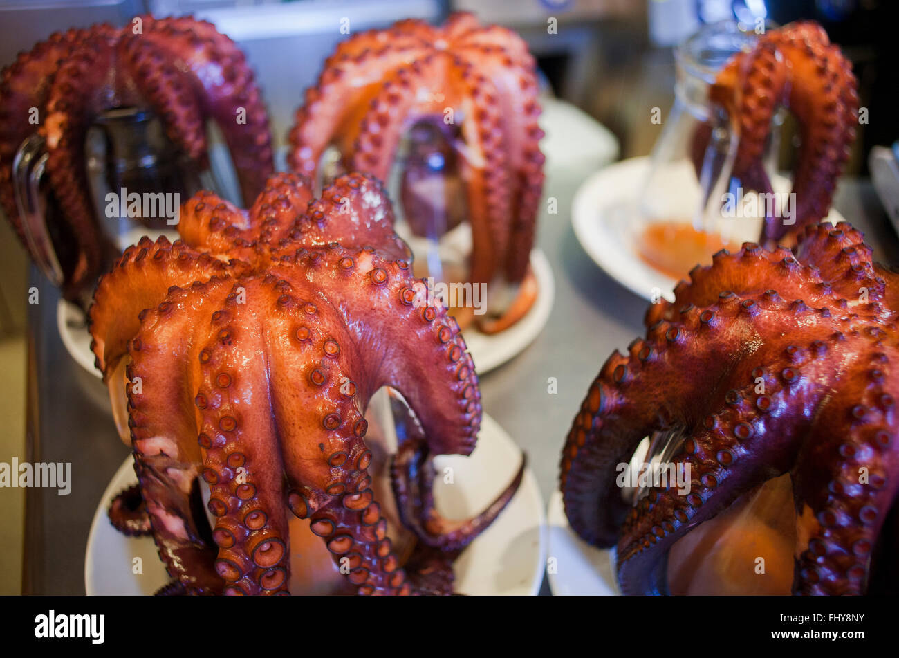 Octopus for ´Pulpo a feira´ octopus in Galician style, Pulpería María ...