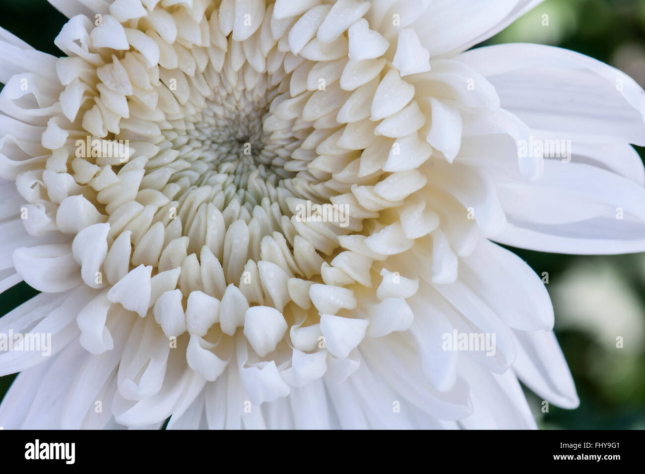 Big open field hi-res stock photography and images - Alamy