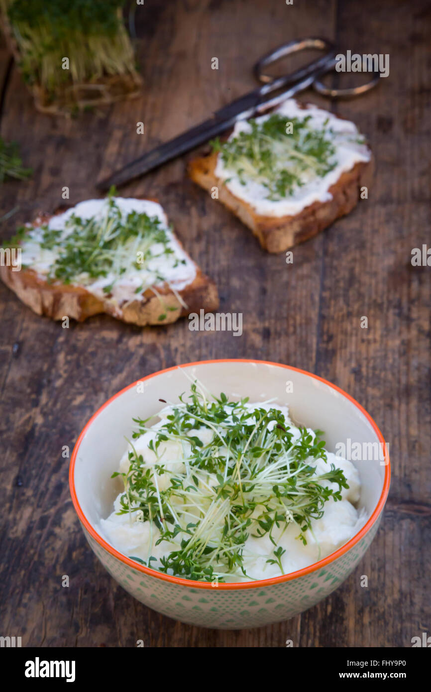 Bowl of organic curd and cress Stock Photo - Alamy
