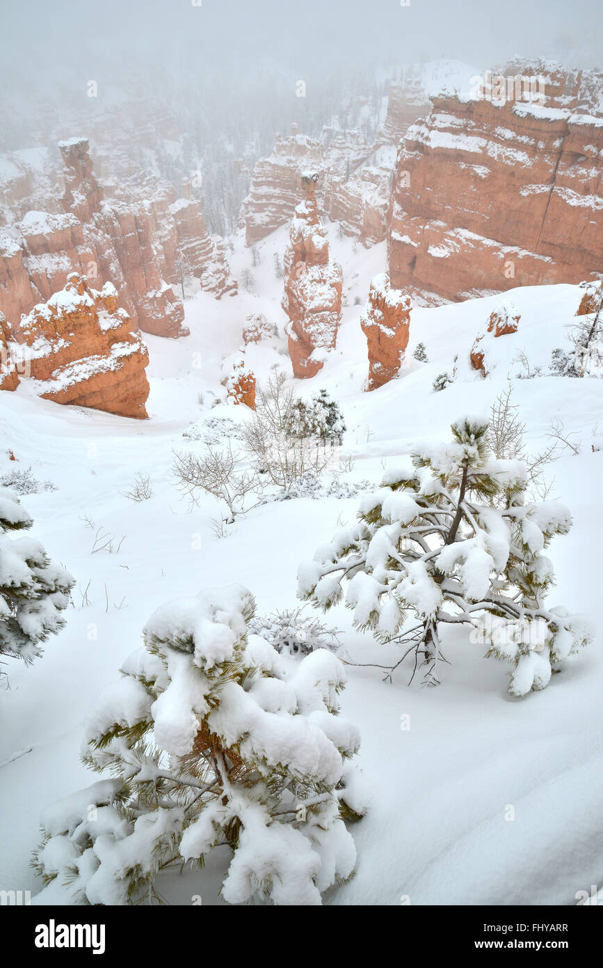 View of Thor's Hammer and Navajo Loop Trail below Sunset Point and Rim ...