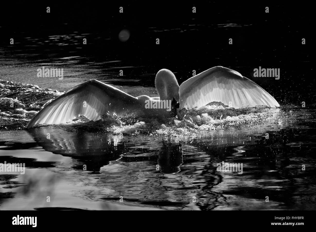 Splashdown hi-res stock photography and images - Alamy