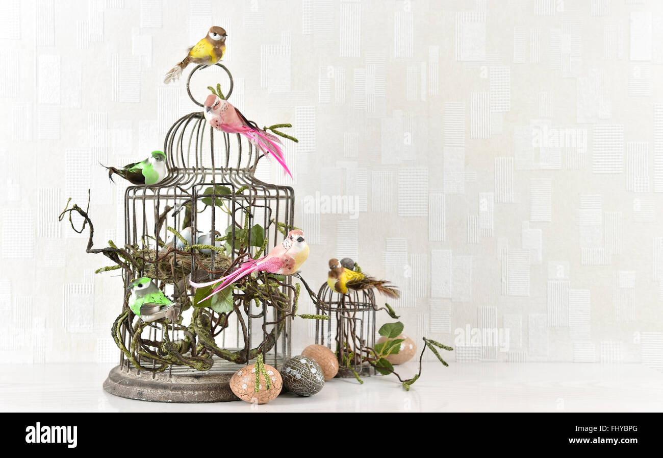 Spring time birds hi-res stock photography and images - Alamy