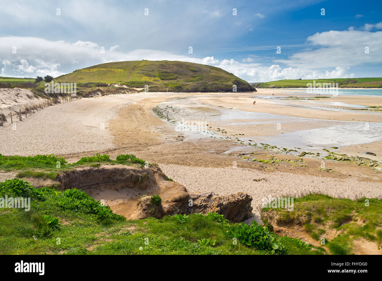 The beautiful golden sandy beach at Daymer Bay located on the River ...