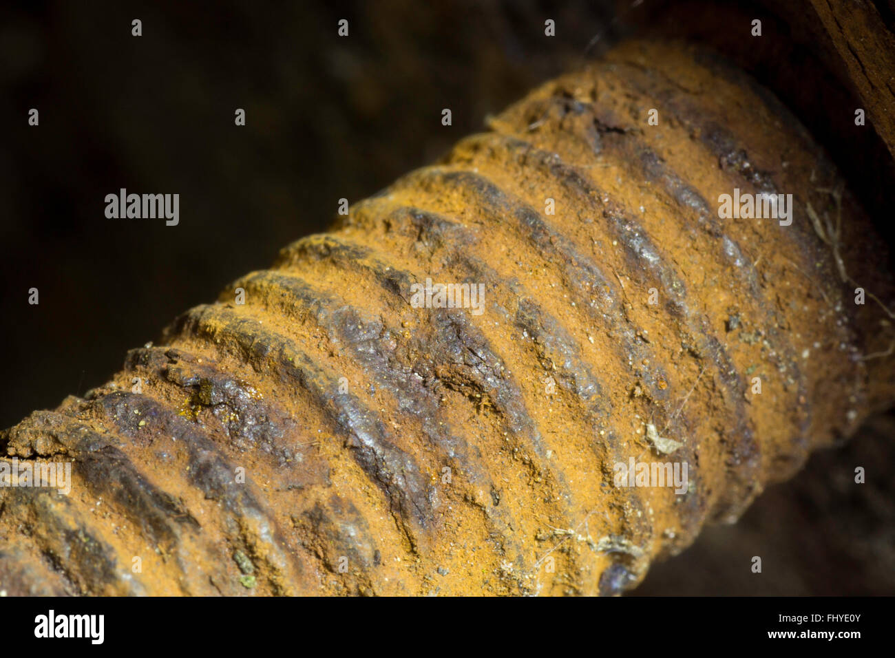 Screw thread hi-res stock photography and images - Alamy