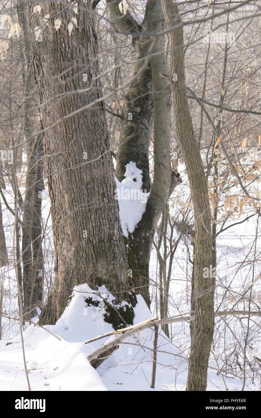 Ghost Images High Resolution Stock Photography and Images - Alamy