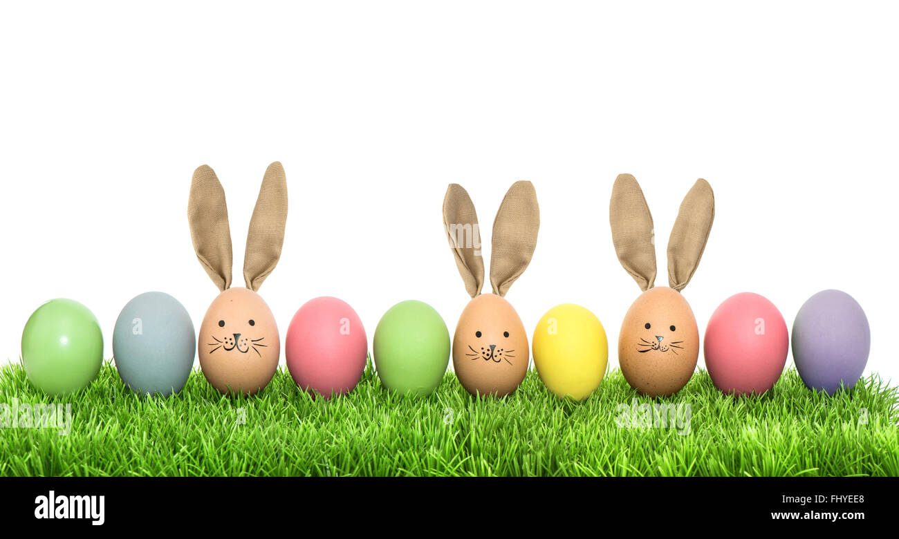 Colorful funny bunny easter eggs in green grass over white background ...