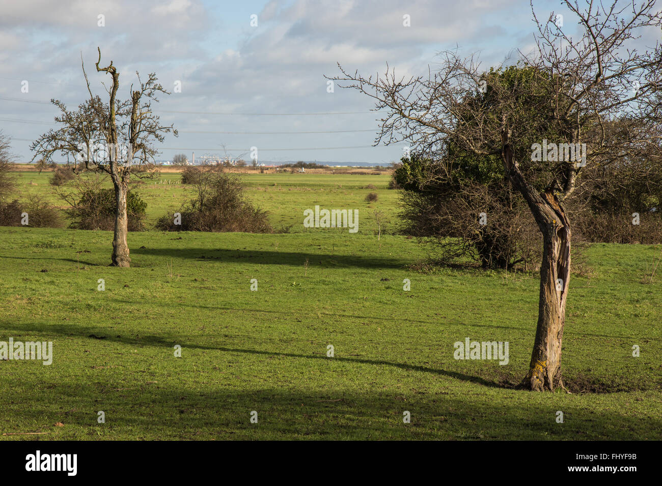 North kent marshes hi-res stock photography and images - Alamy