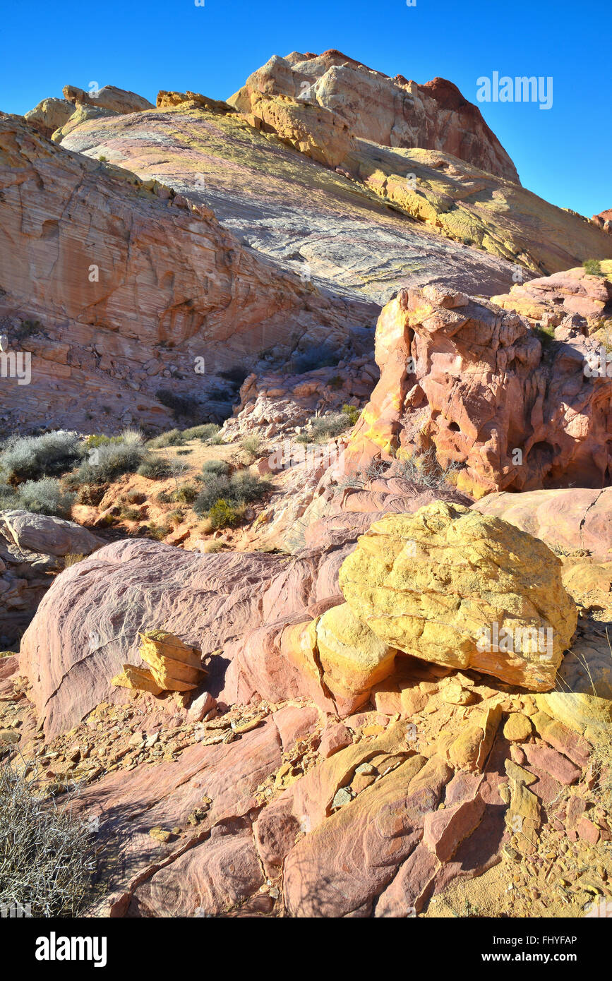 Colorful sandstone is everywhere in Valley of Fire State Park in ...