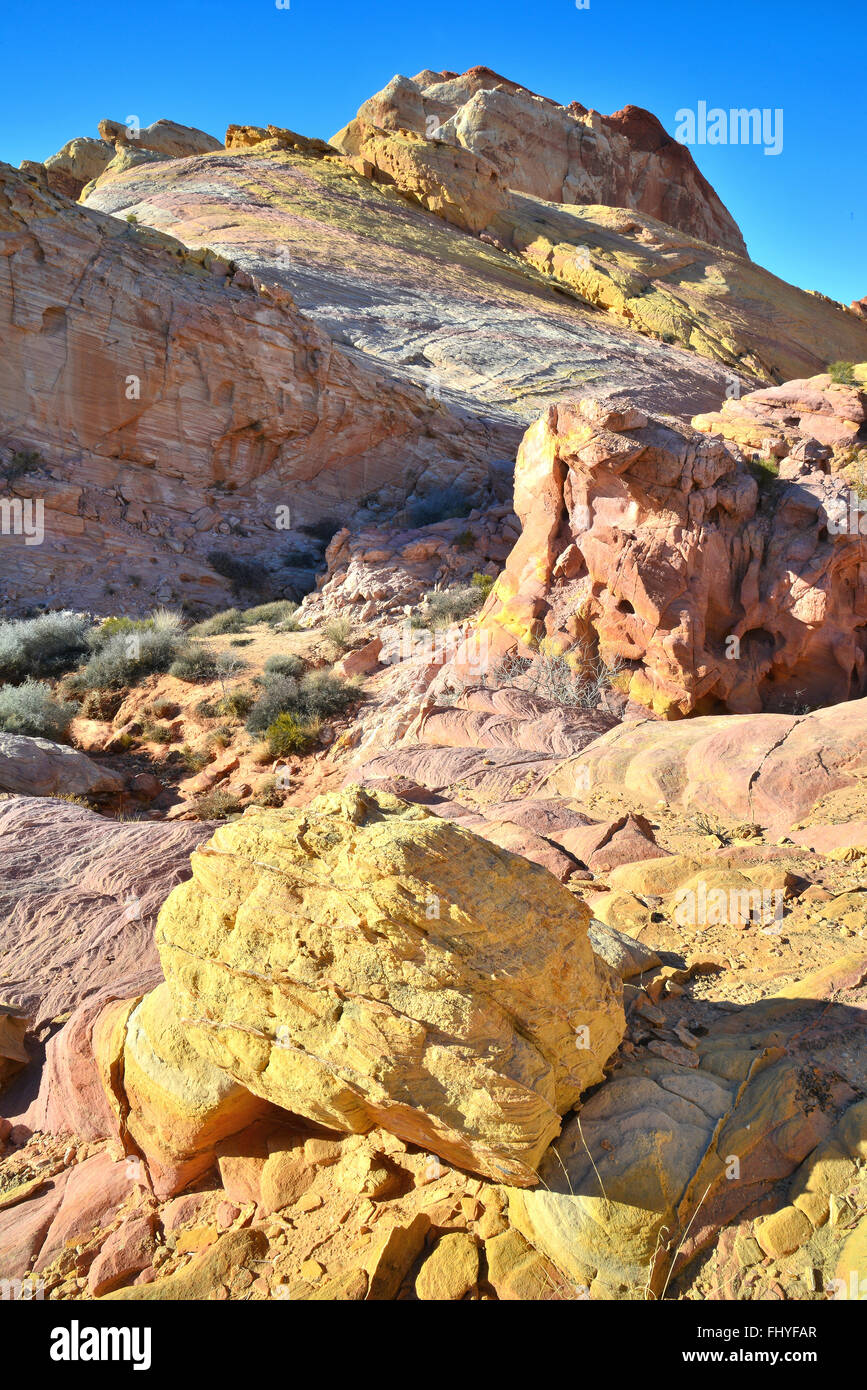 Colorful sandstone is everywhere in Valley of Fire State Park in ...