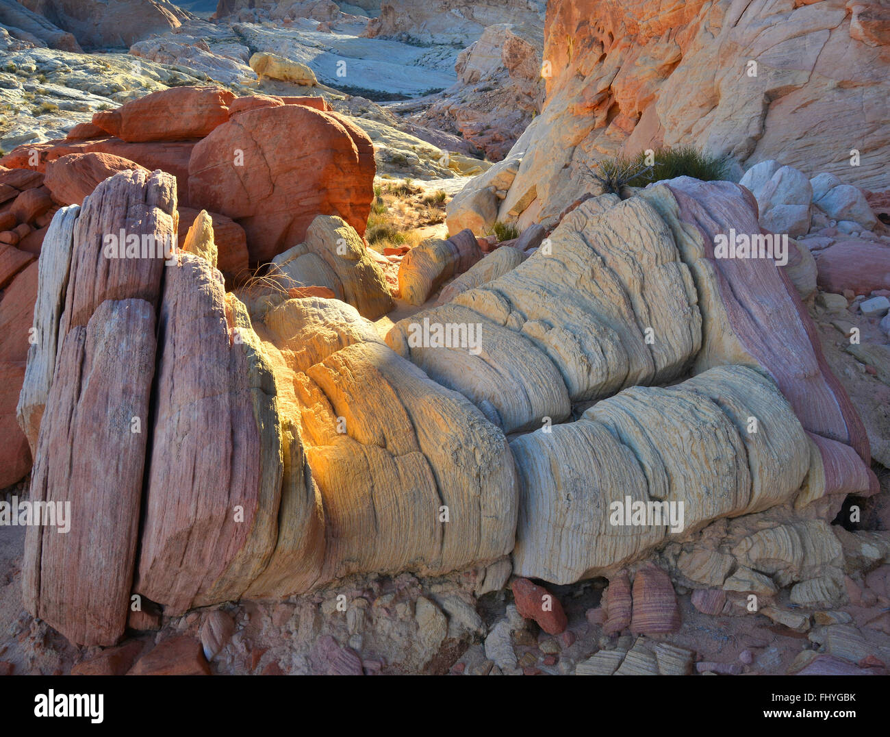Colorful sandstone is everywhere in Valley of Fire State Park in ...