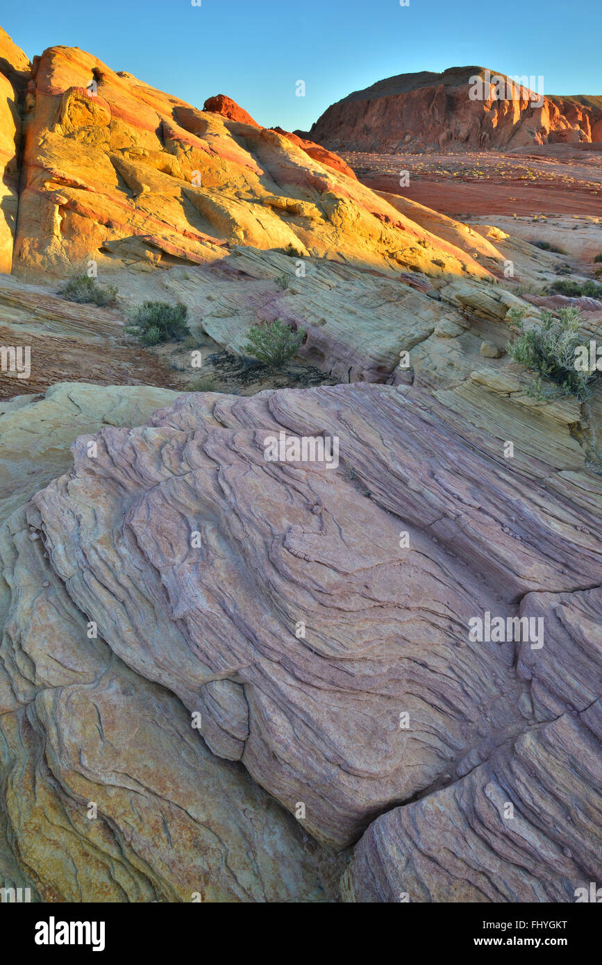 Colorful sandstone shapes and forms in Valley of Fire State Park in ...