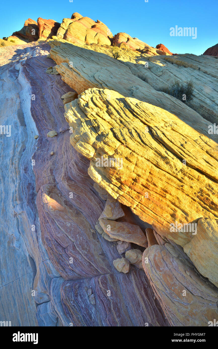 Colorful sandstone shapes and forms in Valley of Fire State Park in ...