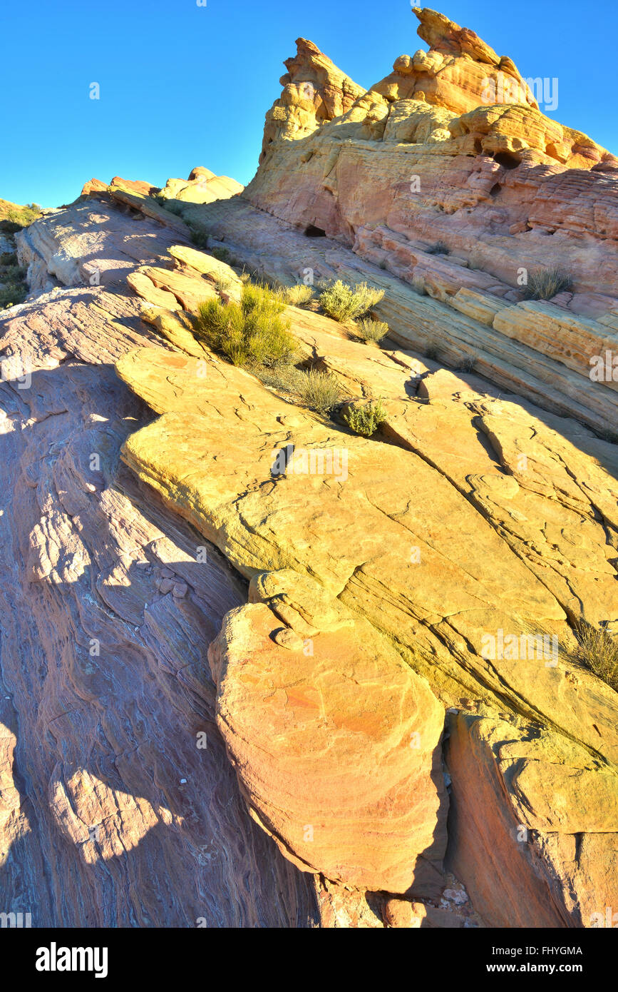 Colorful sandstone shapes and forms in Valley of Fire State Park in ...