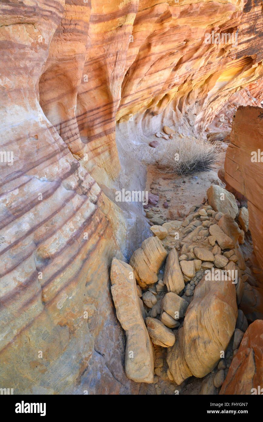 Colorful sandstone shapes and forms in Valley of Fire State Park in ...