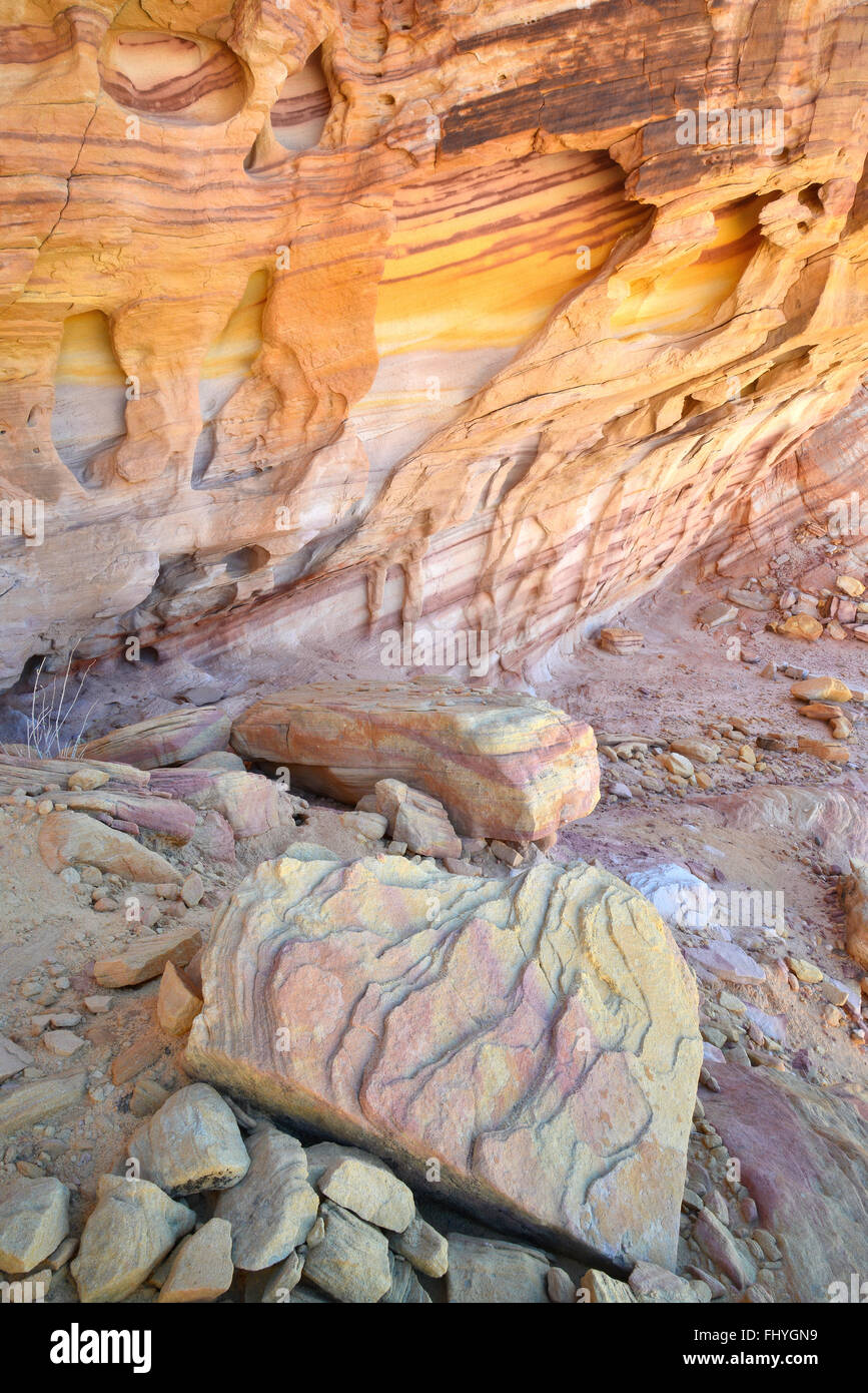 Colorful sandstone shapes and forms in Valley of Fire State Park in ...