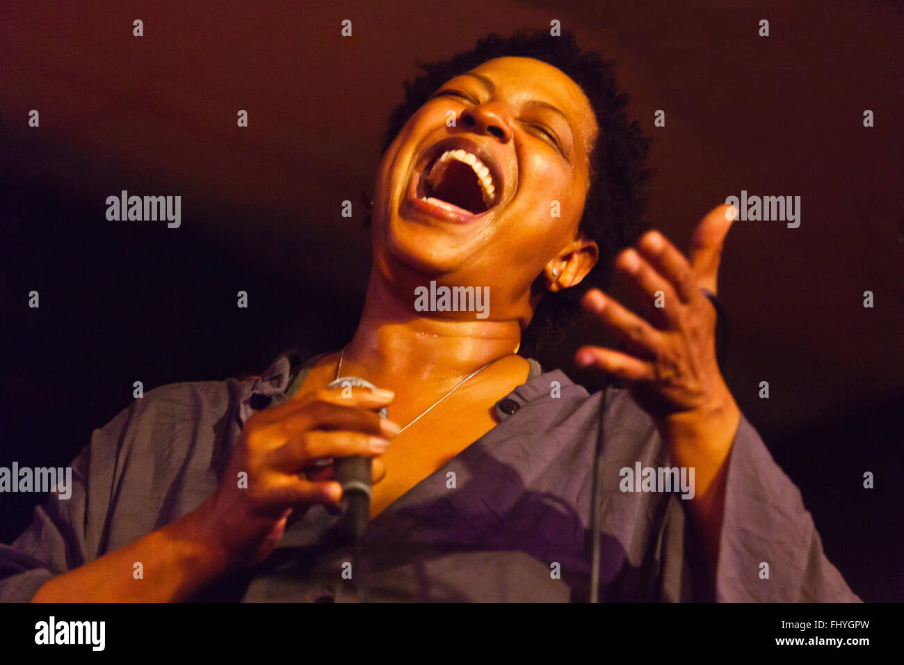 Lisa Fischer High Resolution Stock Photography and Images - Alamy