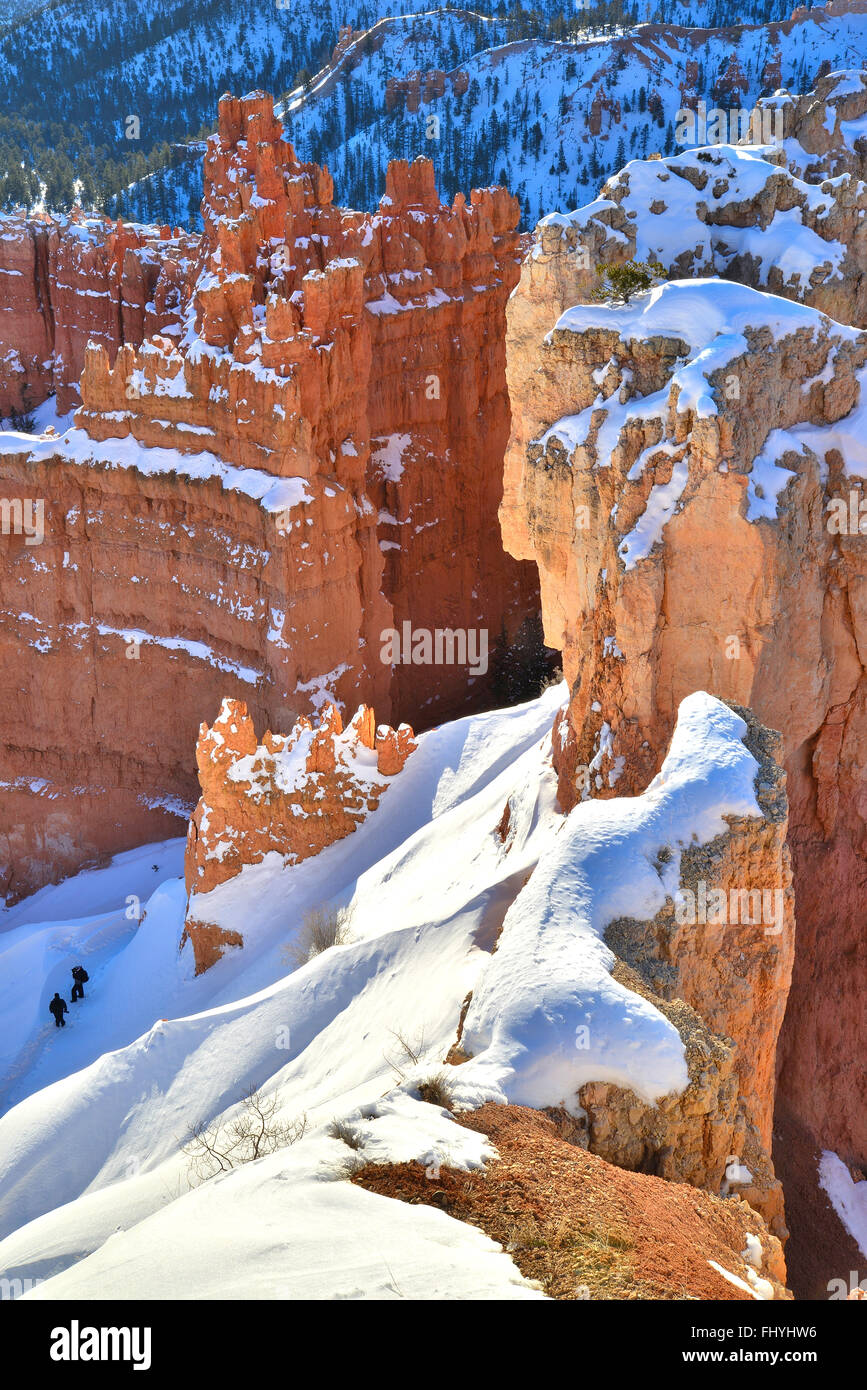 View of Navajo Loop Trail from Sunset Point on a winter morning, as the ...