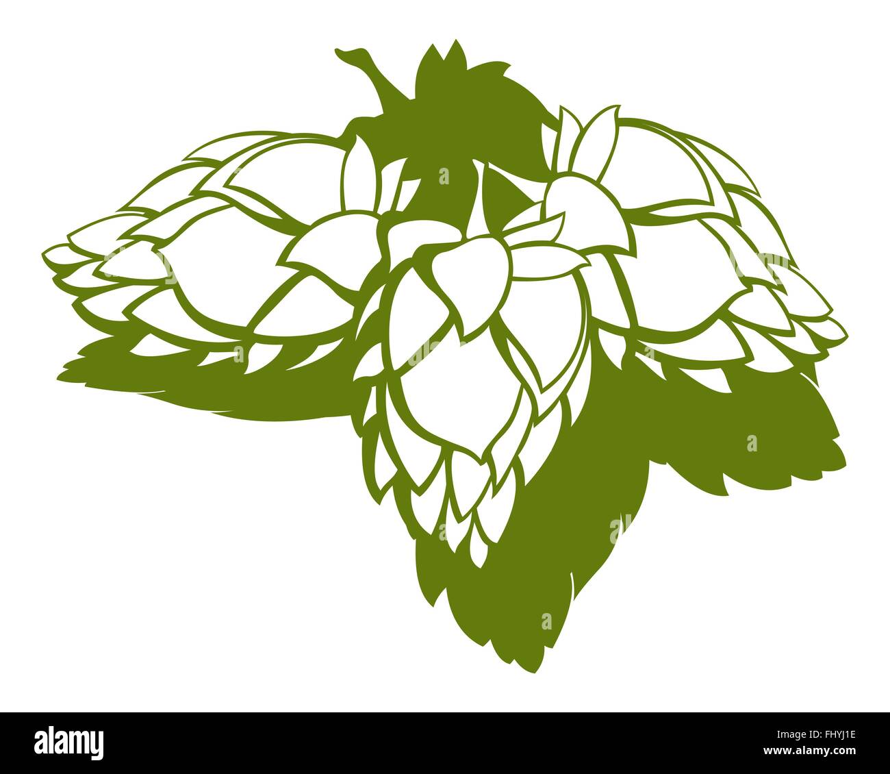 White hop flowers with green shadow. Humulus hops. beer vector ...