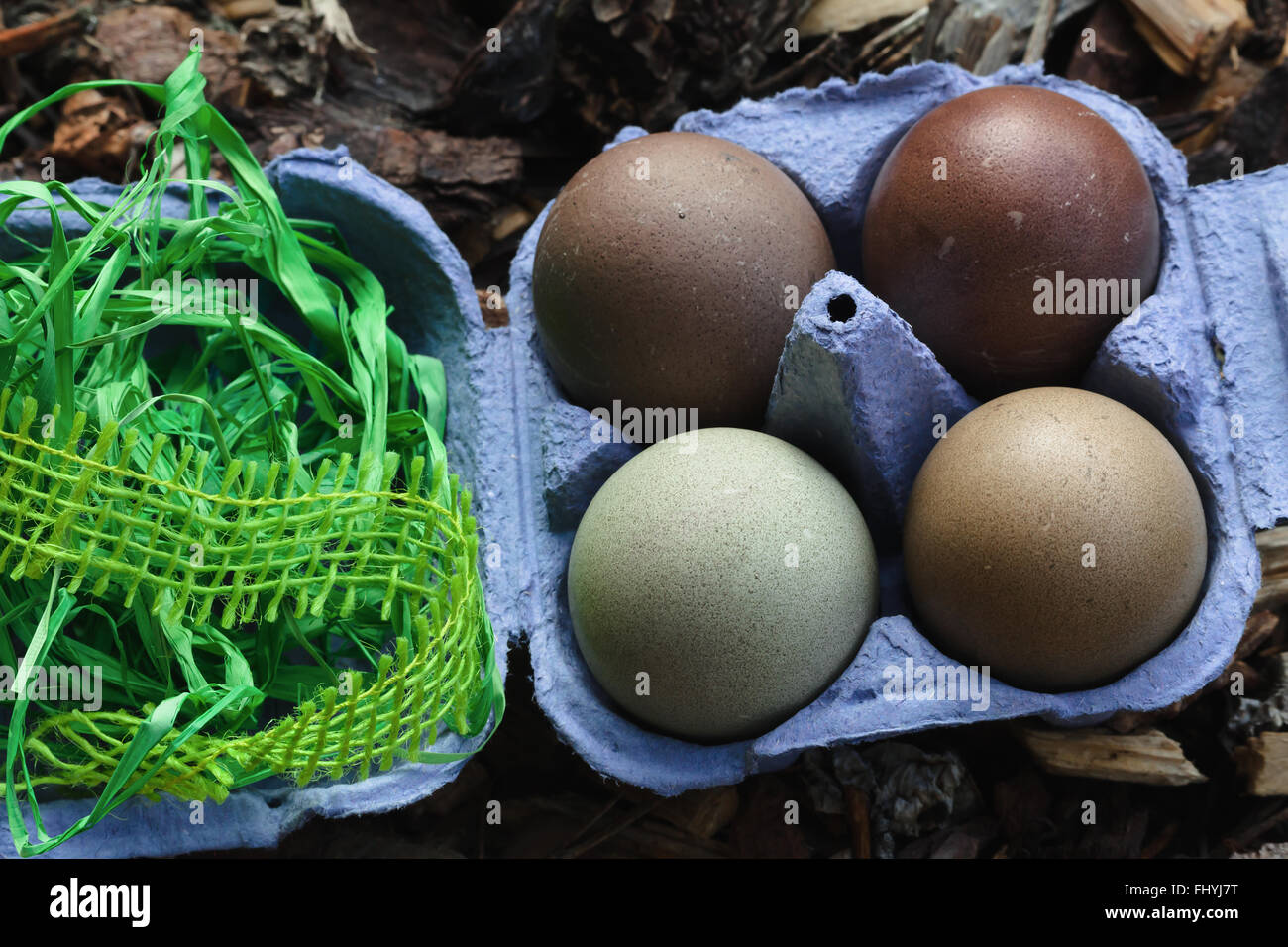 Four colored eggs in blue box Stock Photo - Alamy