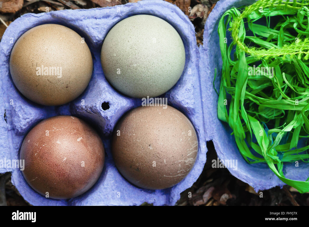 Four colored eggs in blue box Stock Photo - Alamy