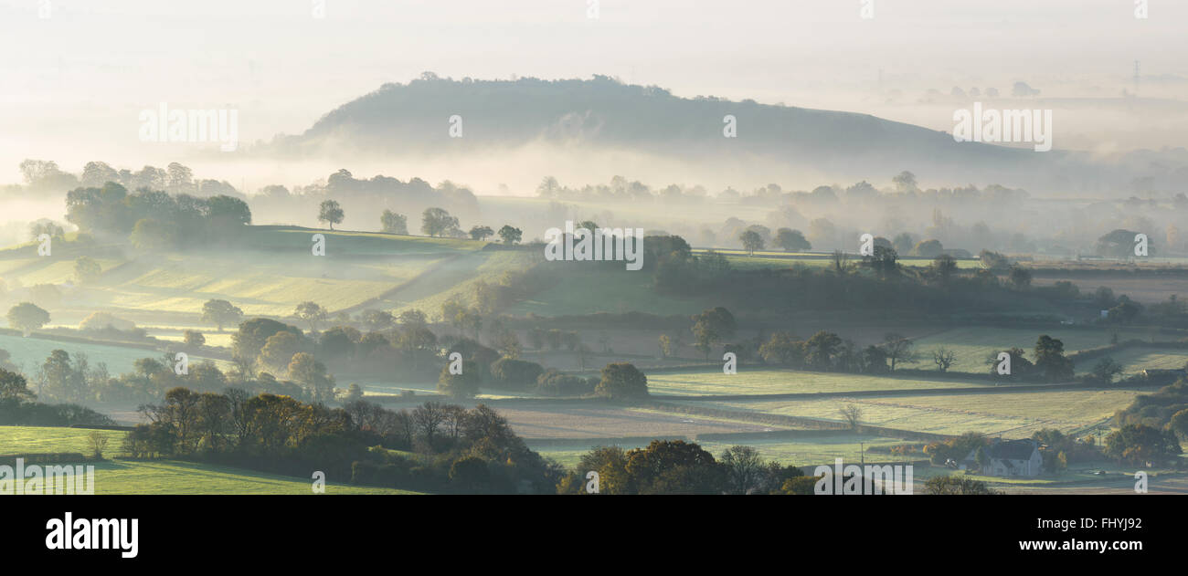 Mist shrouded fields surrounding Hay Hill on the Somerset Levels Stock ...