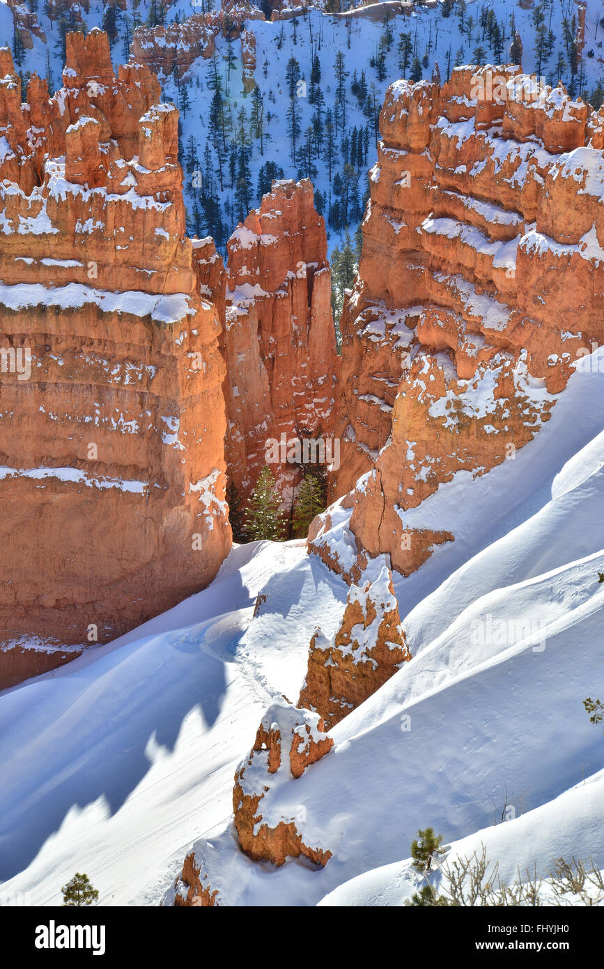 View of Navajo Loop Trail from Sunset Point on a winter morning, as the ...