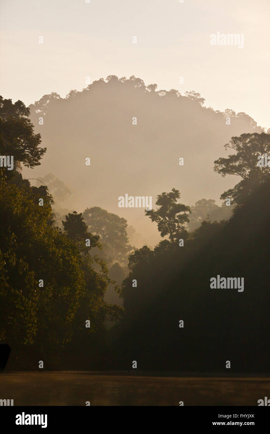 KARST FORMATIONS covered with tropical jungle surround CHEOW EN LAKE in ...