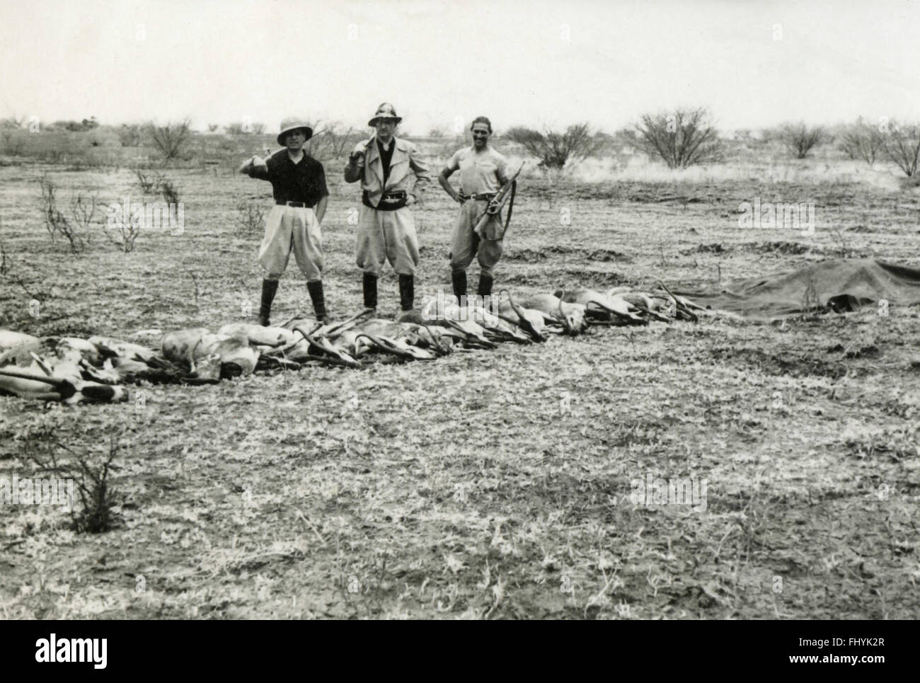 Dead animals hi-res stock photography and images - Alamy