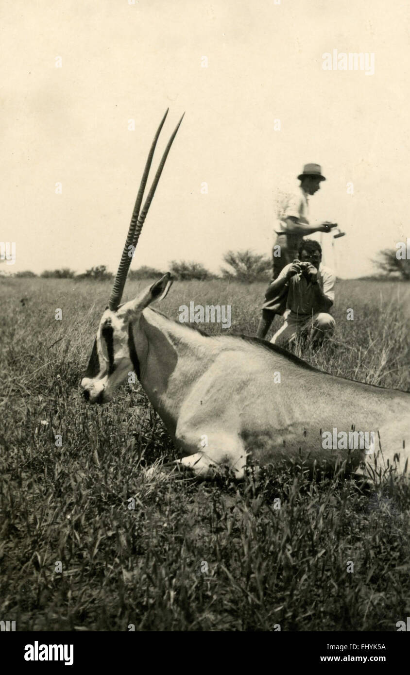 Photographing the wounded antelope to death, Ethiopia Stock Photo - Alamy