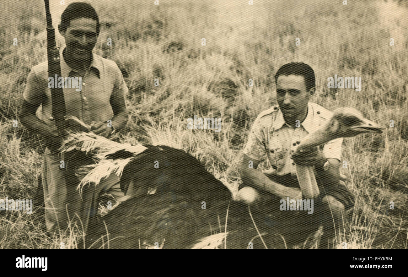 Mortally hi-res stock photography and images - Alamy