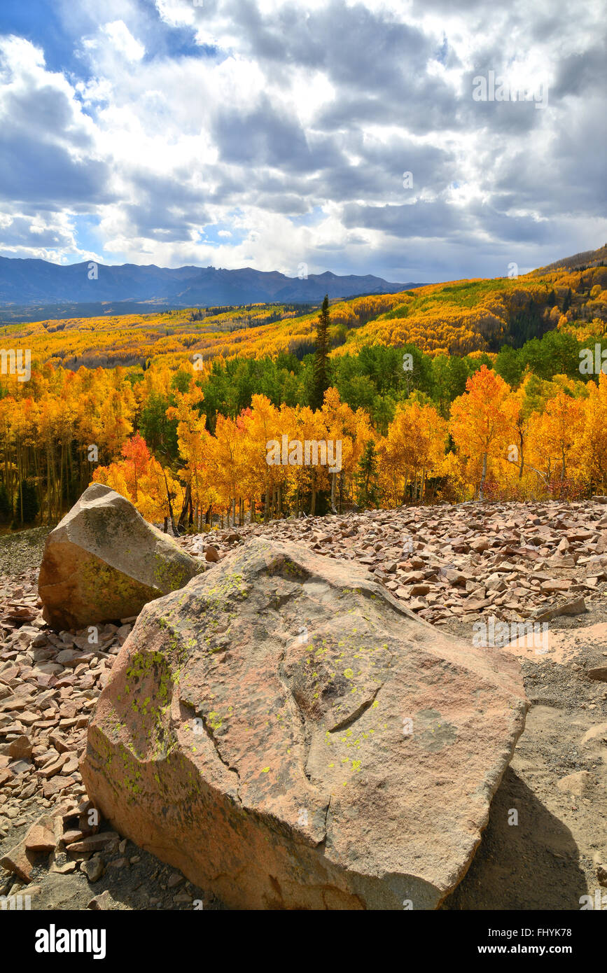 Fall colors along Forest Road 730 at Ohio Pass near Crested Butte ...