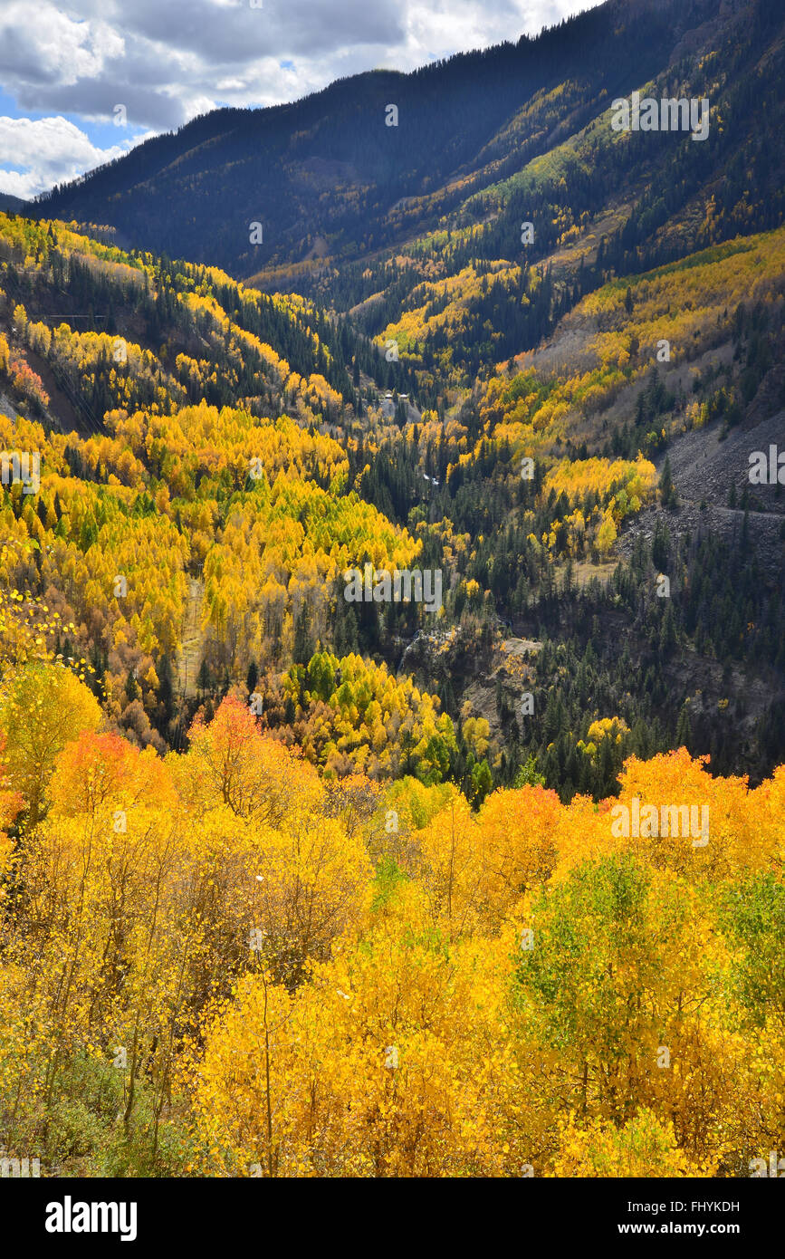 Fall color comes to Colorado along HWY 145 south of Telluride, Colorado ...