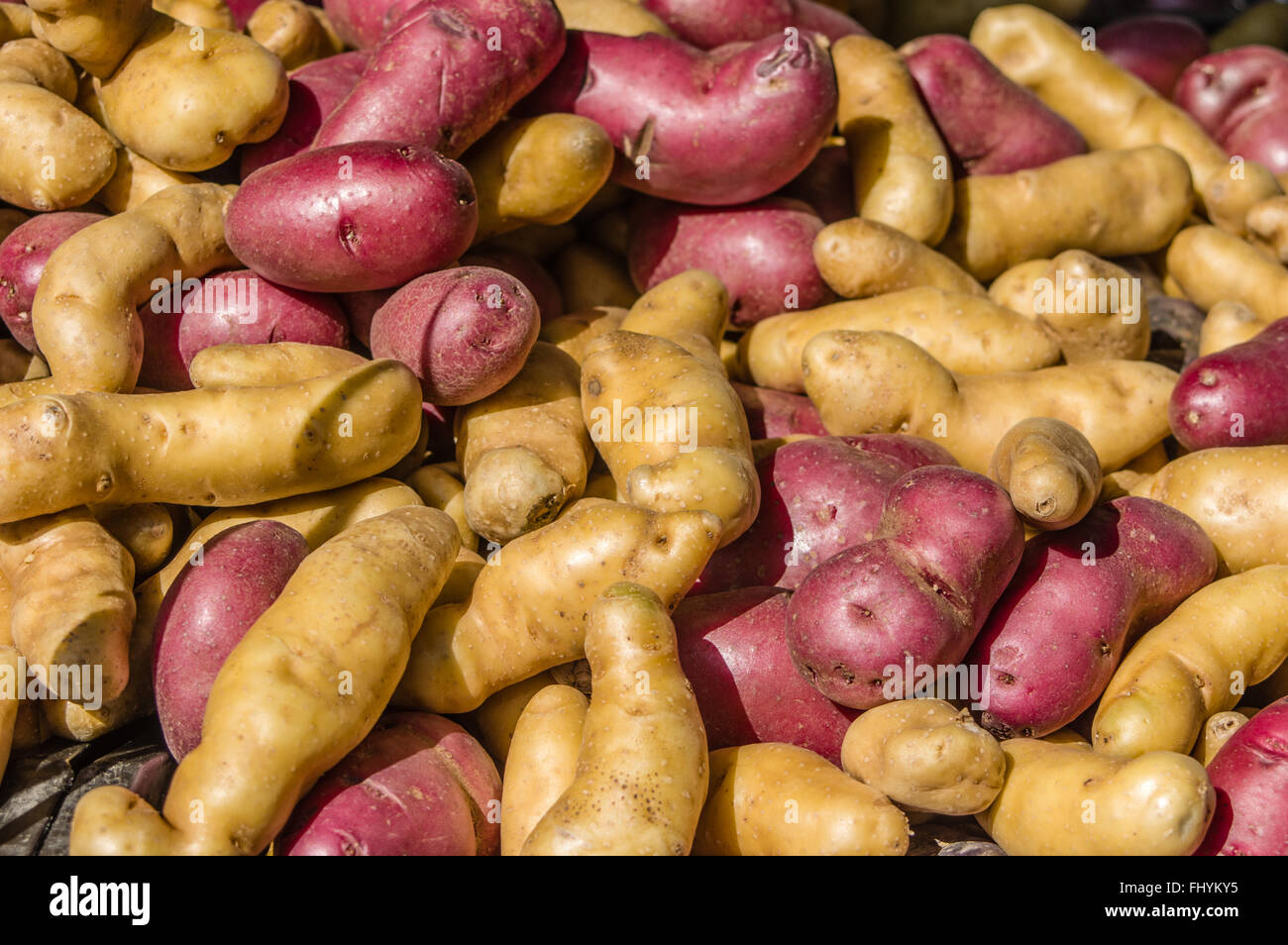 Potato display hi-res stock photography and images - Alamy