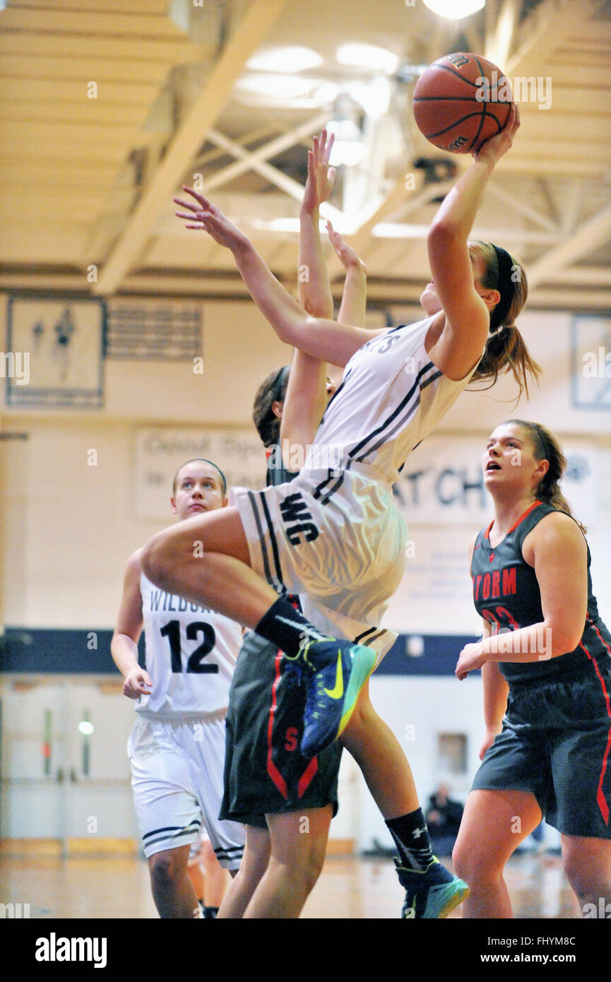 After a drive along the baseline a player leaves the floor to trigger a ...