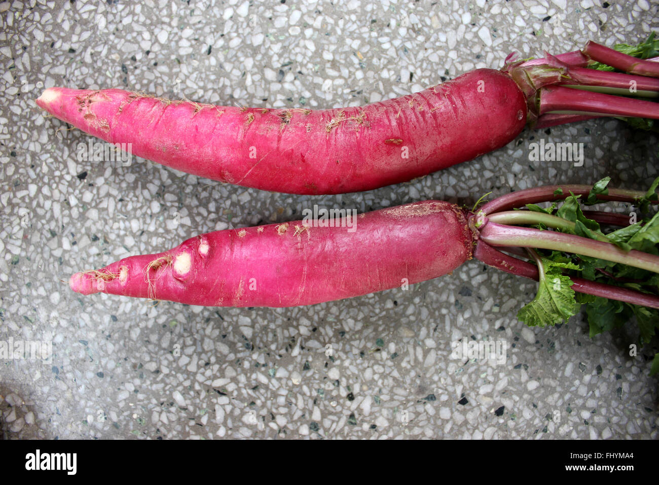 Long roots hi-res stock photography and images - Alamy