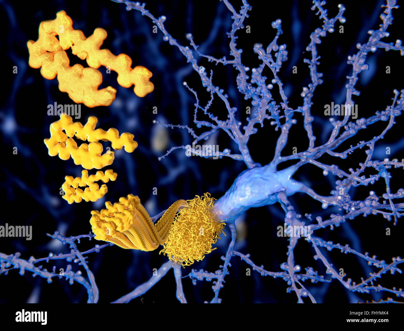 Amyloid beta peptide, computer illustration This protein is the primary ...