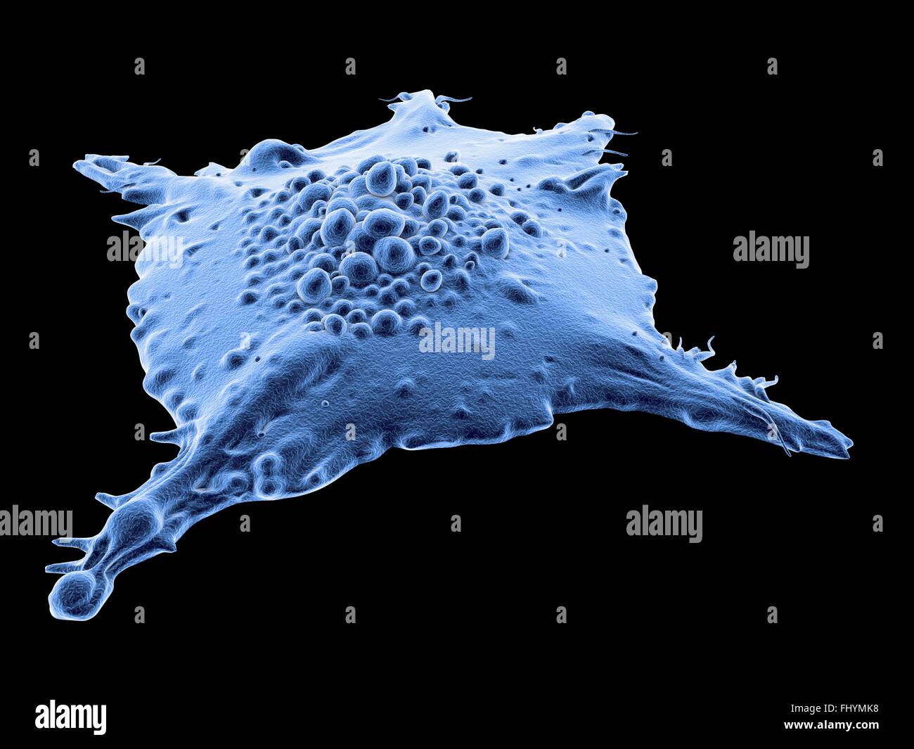 Blebs hi-res stock photography and images - Alamy