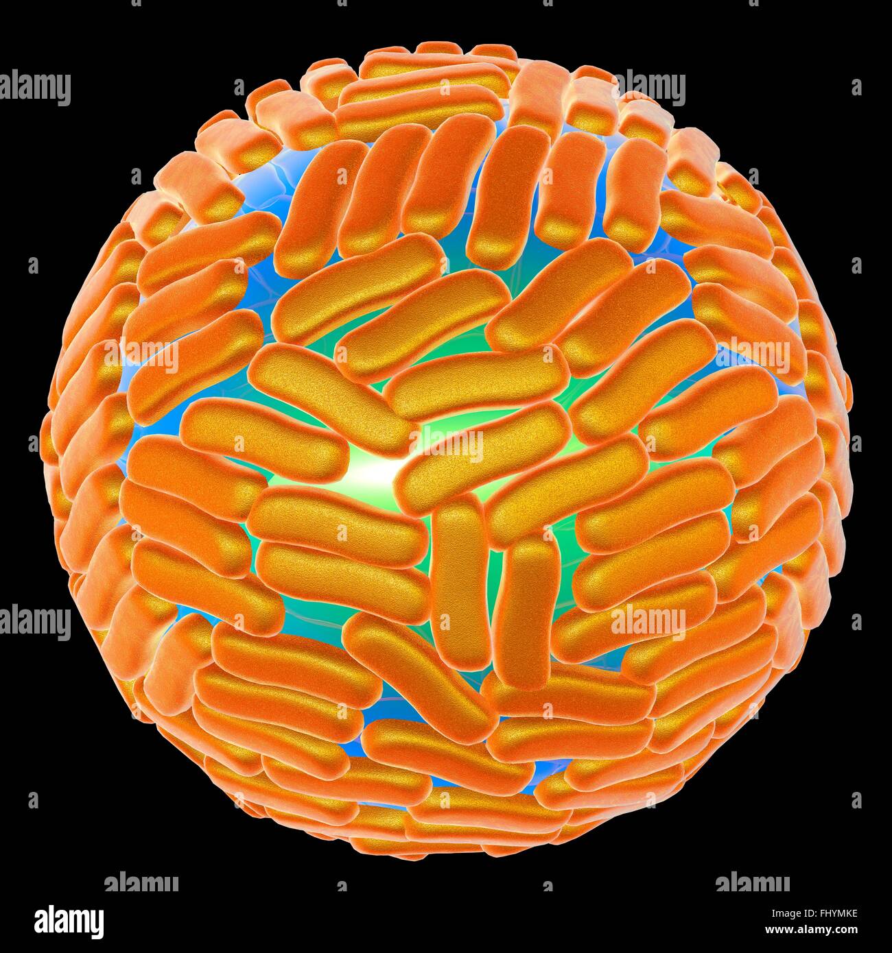 Zika virus, computer illustration This is an RNA (ribonucleic acid ...