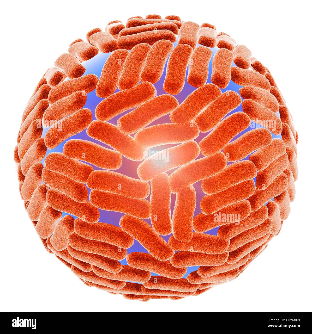 Zika virus, computer illustration This is an RNA (ribonucleic acid ...
