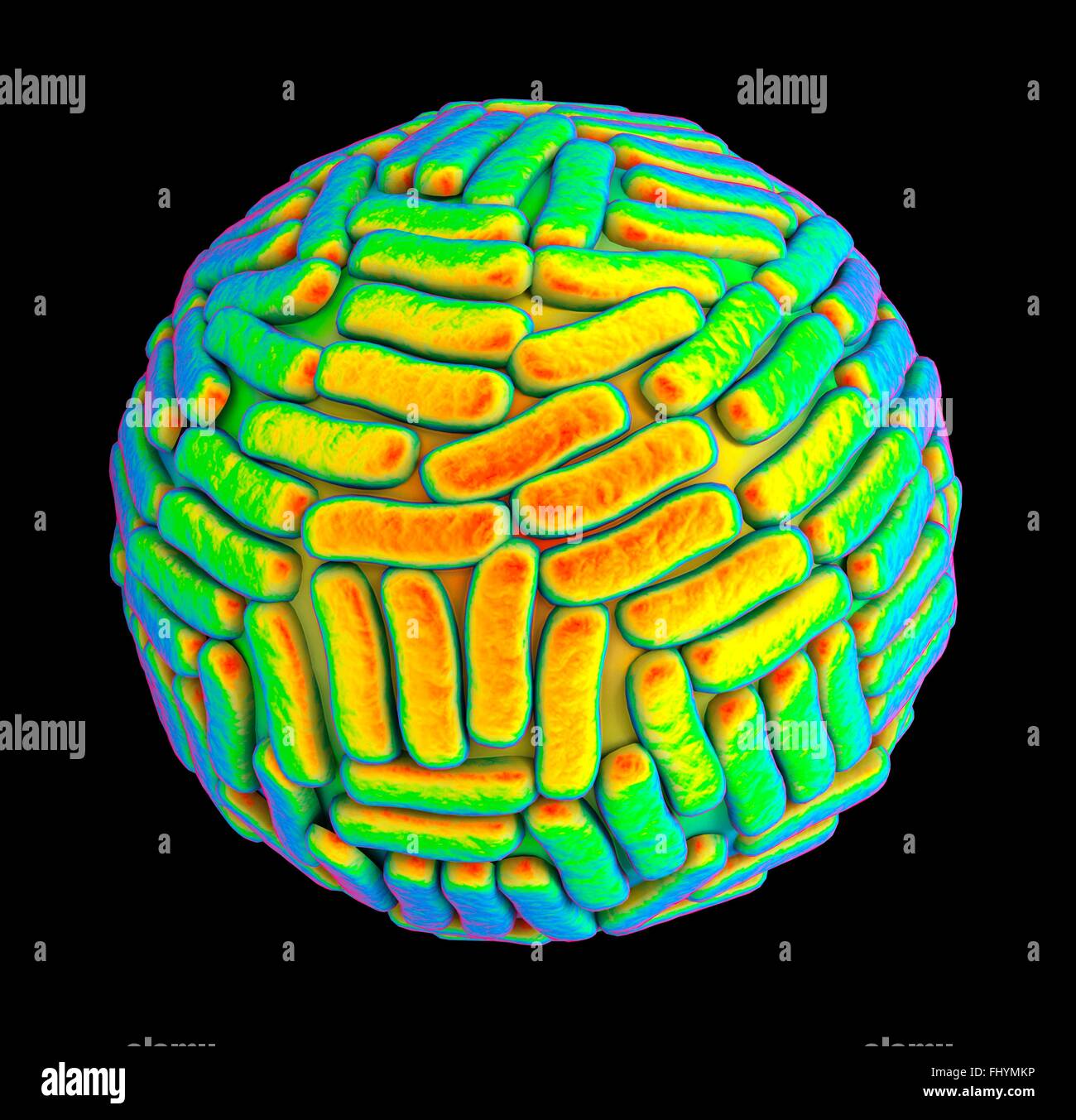 Zika virus, computer illustration This is an RNA (ribonucleic acid ...