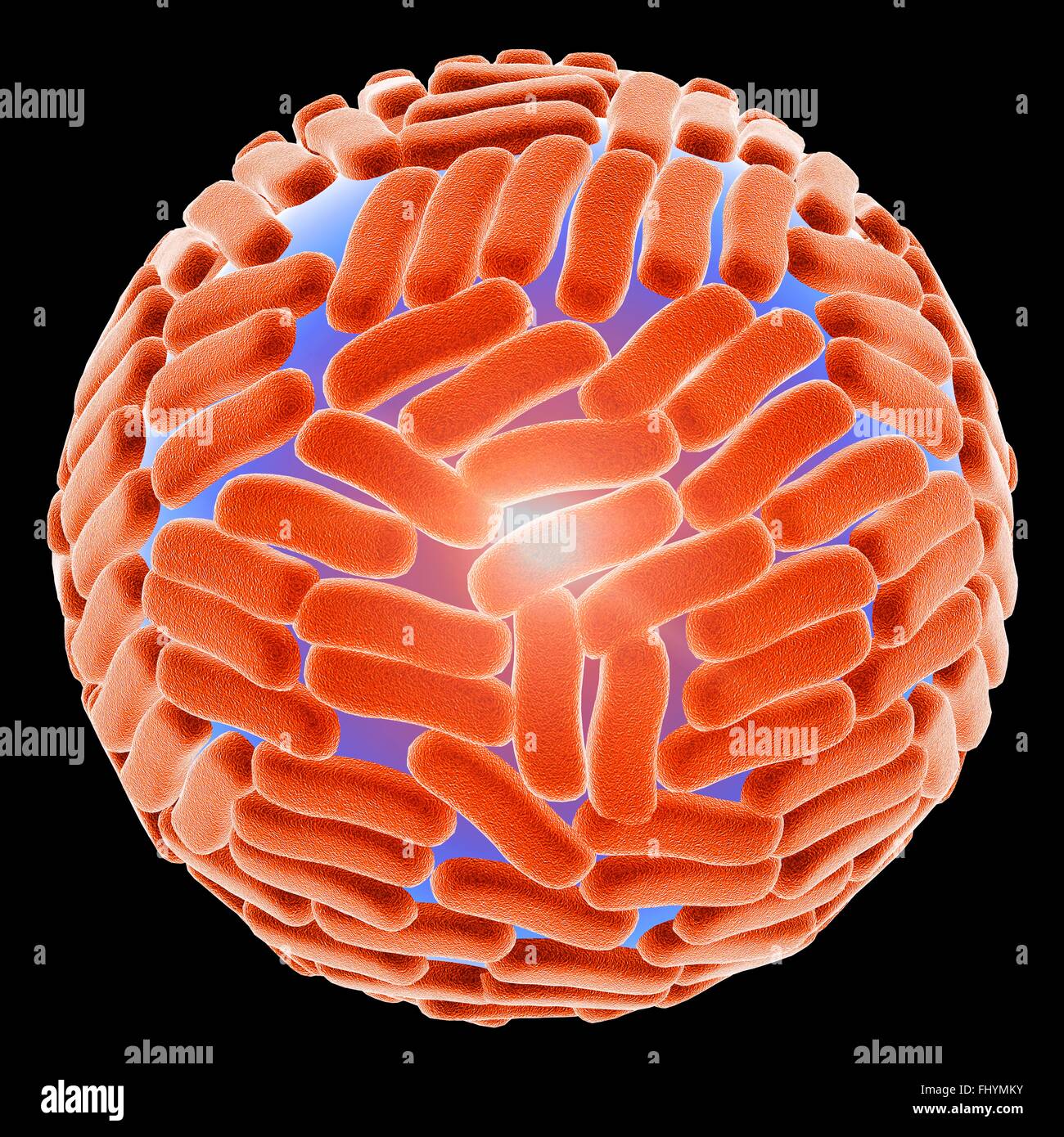 Zika virus, computer illustration This is an RNA (ribonucleic acid ...